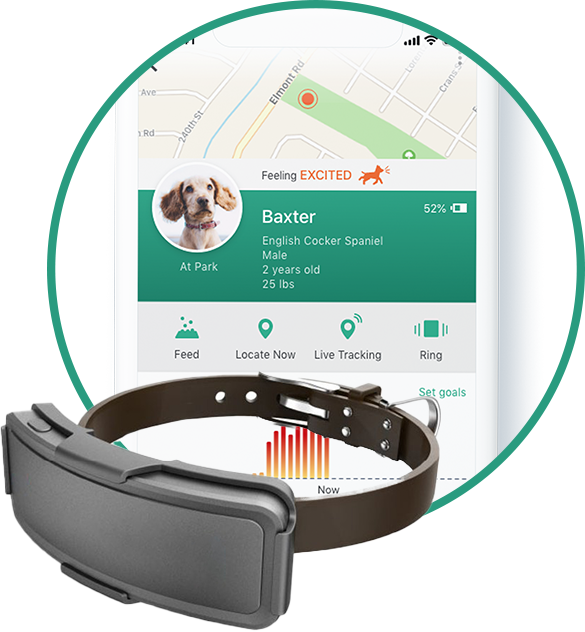 Bring People And Devices Into a Common Platform | SafePath IoT | Smith Micro